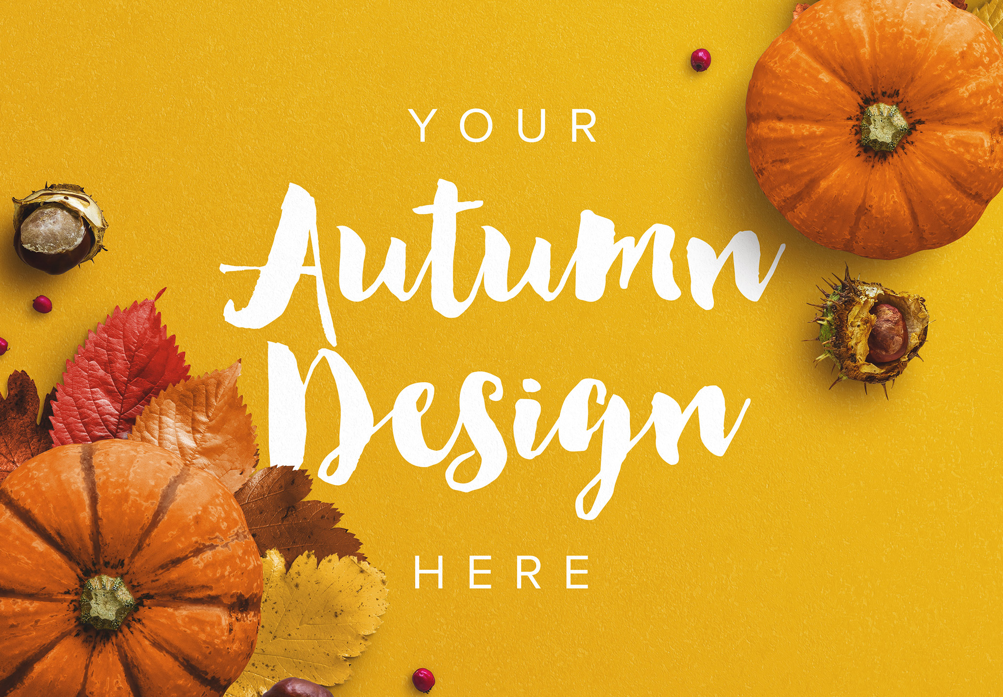 Autumn Frame Pumpkin and Leaves Mockup - Custom Scene
