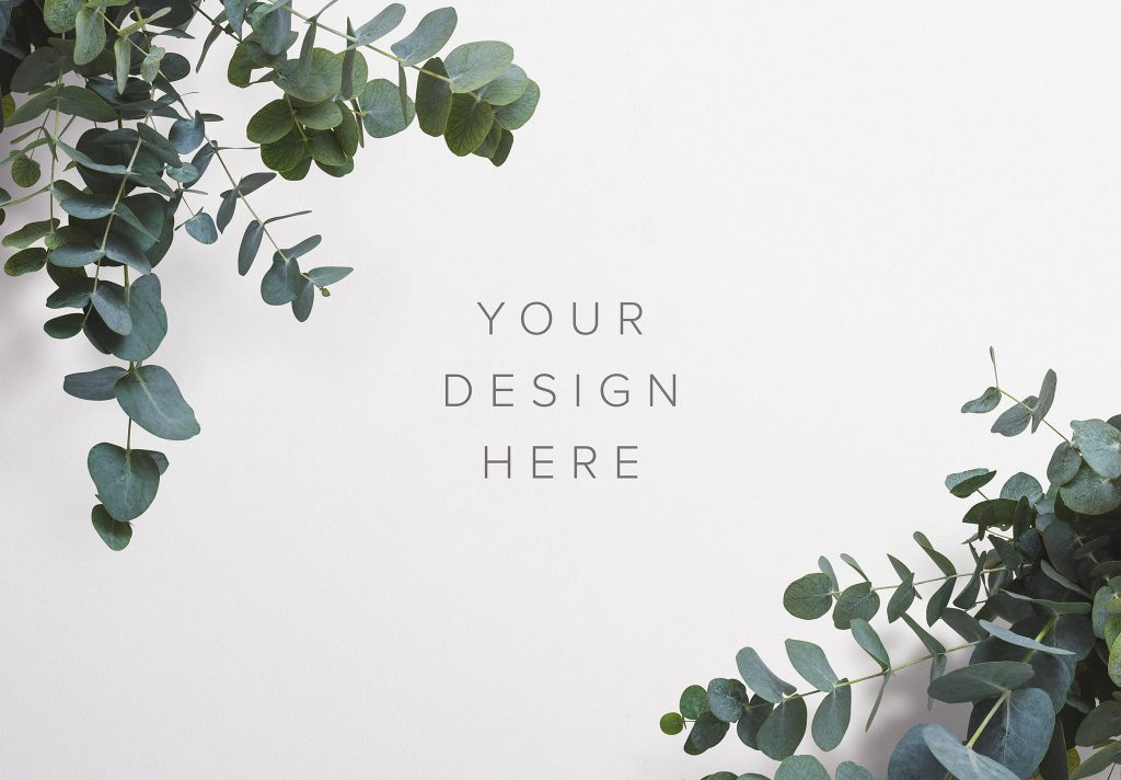 Eucalyptus Custom Scene Creator Template 3 - Custom Scene
